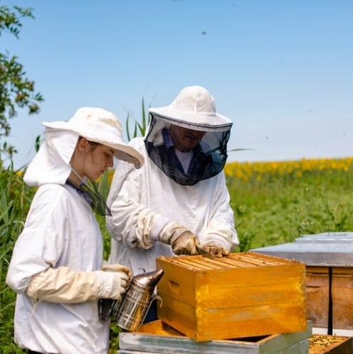 Sponsor a New-bee Beekeeper | S W E E T H A V E N L A V E N D E R