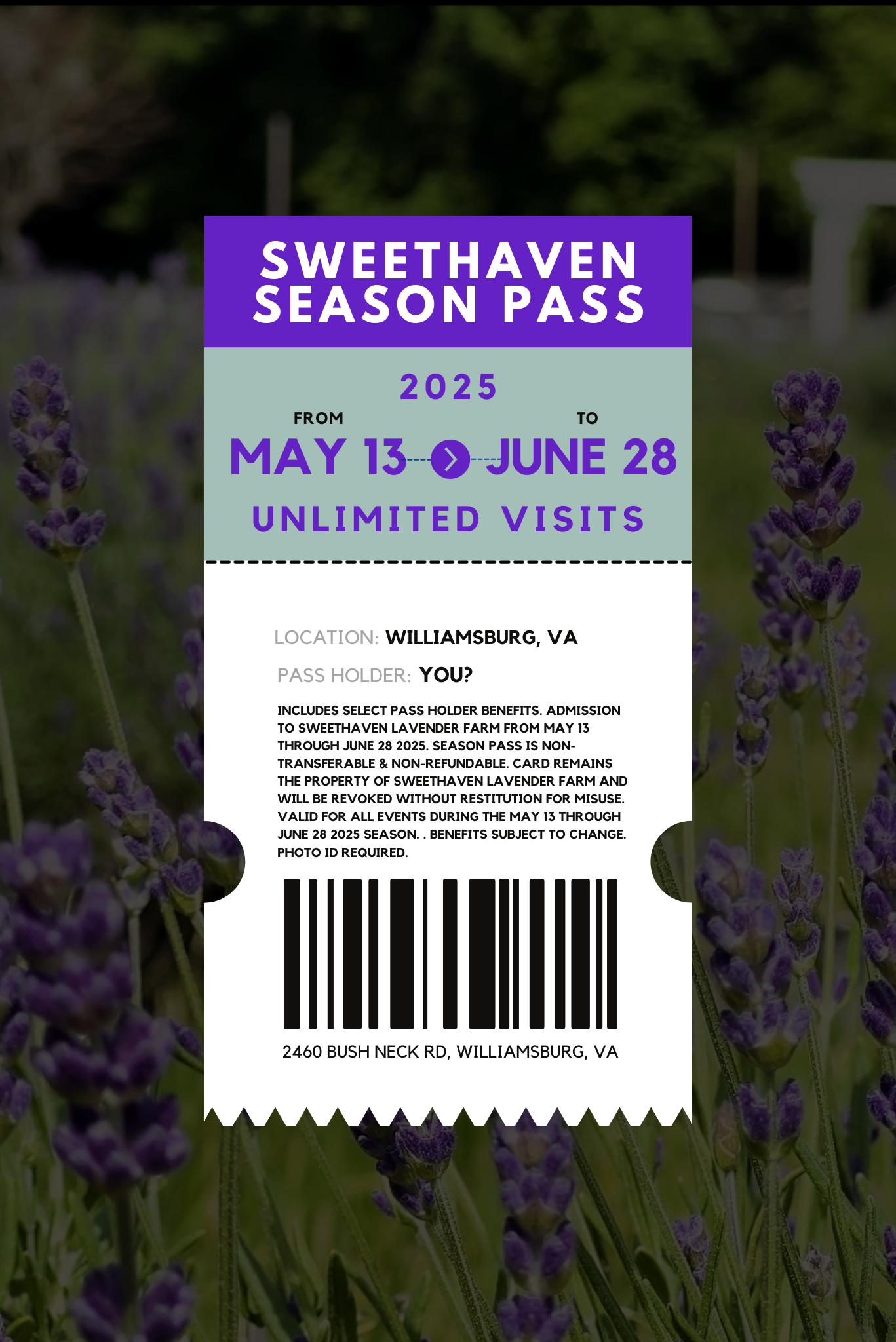 Sweethaven Season Pass | S W E E T H A V E N L A V E N D E R